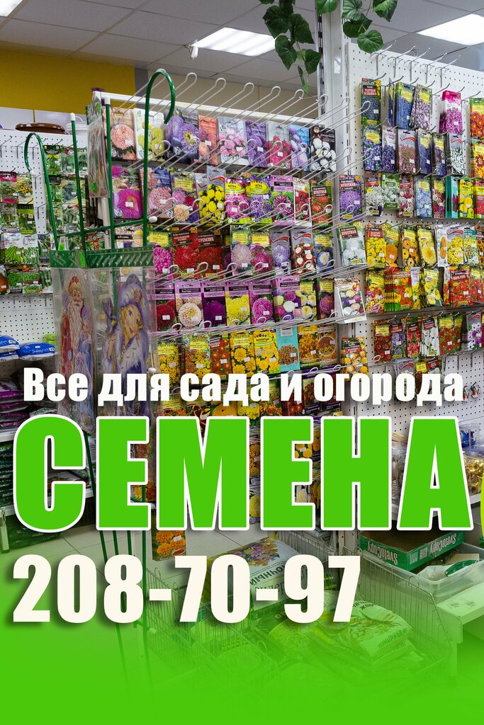 Tohum satan yerler Семена, Perm, foto