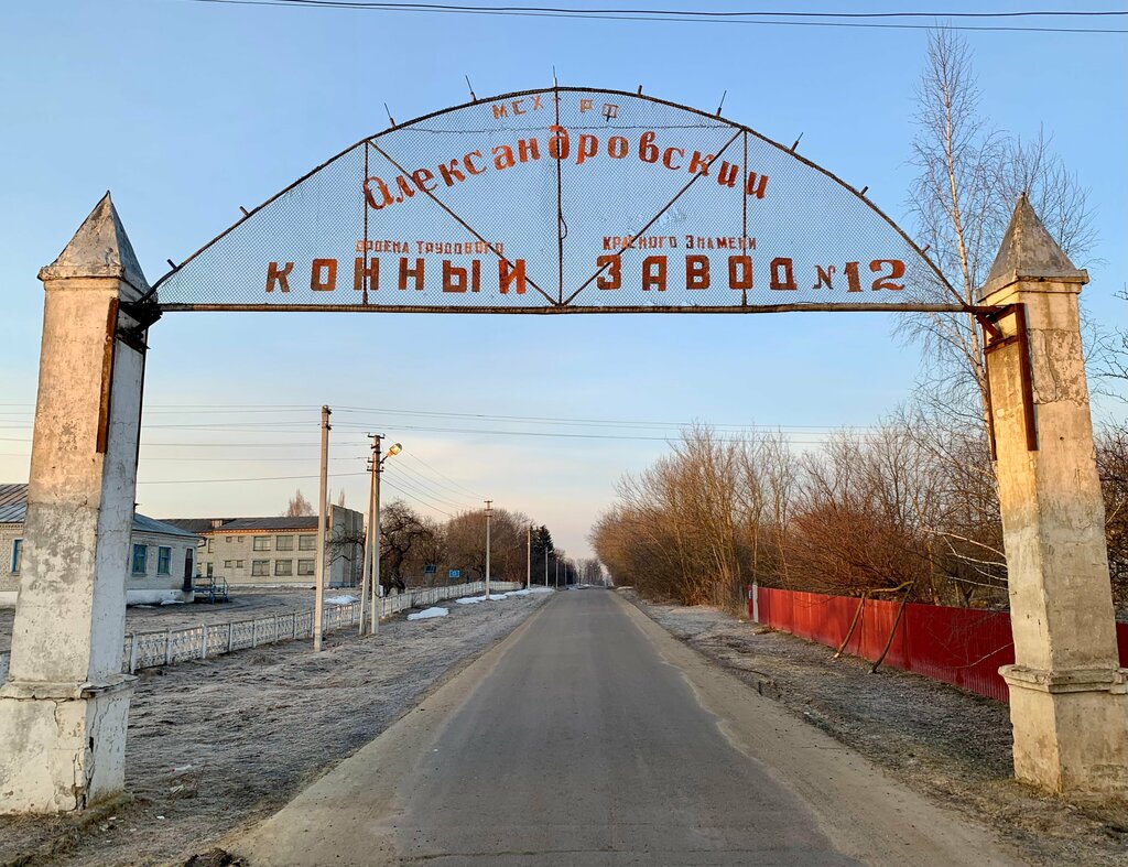 Hayvancılık Александровский конный завод № 12, Kurskaya oblastı, foto