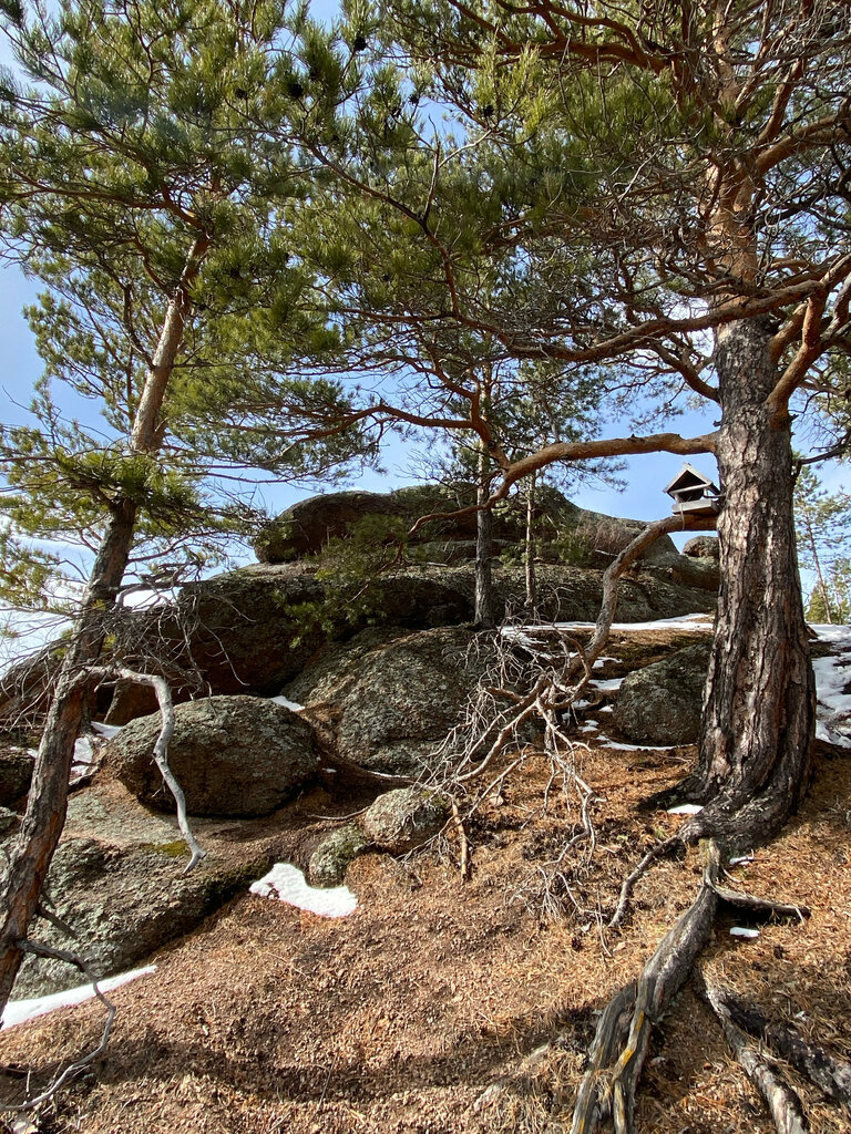 Dağ zirvesi Скала Волчий лоб, Krasnoyarski krayı, foto