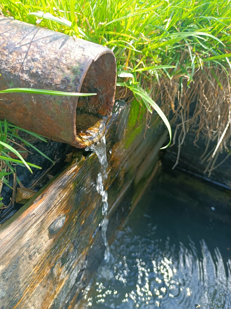 Pınar, çay Spring, stream, Stavropolski krayı, foto