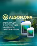 Хлорелла (Gleba Uspenskogo Street No:22), i̇çecek üretimi  Perm'den