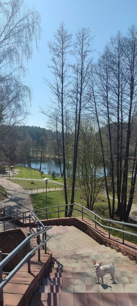Çardak Gazebo, Minskaya oblastı, foto