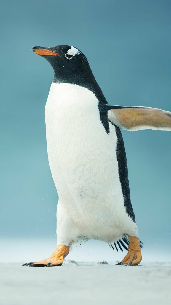 Dağ zirvesi Kyrkjeskipet Peak 3085 meters, Dünya, foto