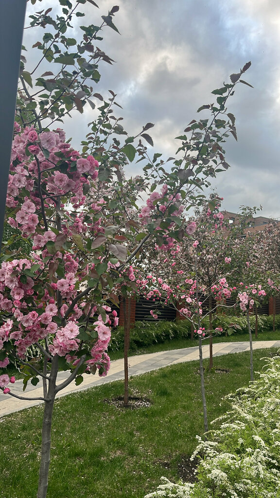 Park, sokak heykeli Пятый элемент, Ufa, foto