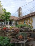 Gardenia shevardnadze (Tbilisi, kvartalshi Lotkini), sera ve bahçe ürünleri  Tiflis'ten