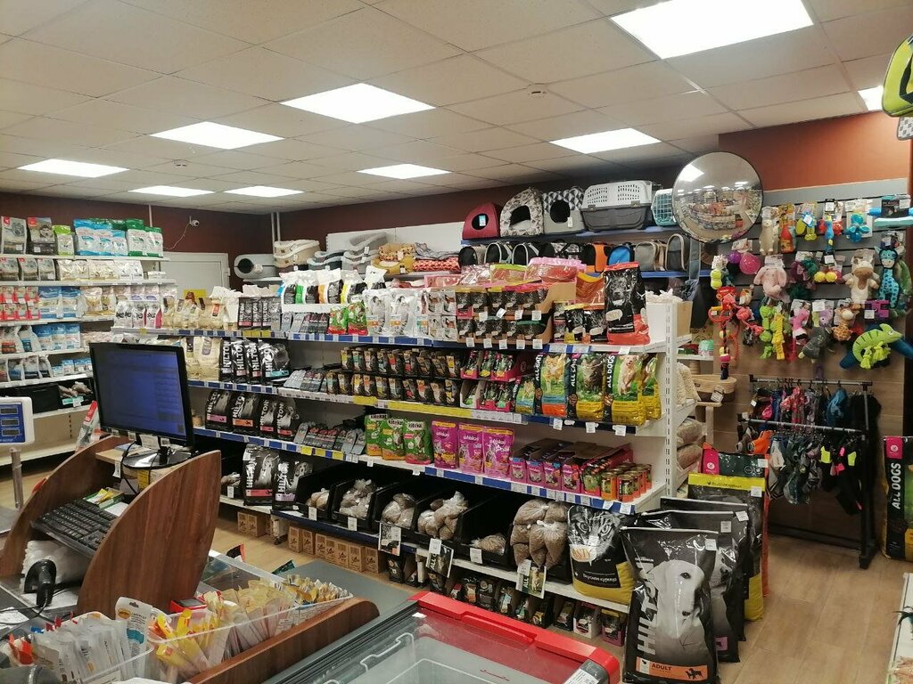 Petshop Братец Кролик, Izhevsk, foto