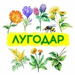 Лугодар (Aerodromnaya Street No:1), sağlık ürünleri firmaları  Nijni Novgorod'dan