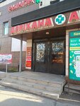 Madelena (Qamzın kóshesi No:171), pasta, şekerleme ve tatlı  Pavlodar'dan