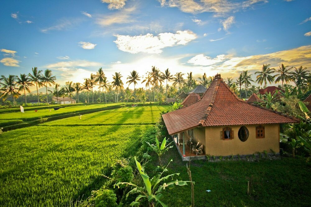 Otel Dragonfly Village, Bali, foto