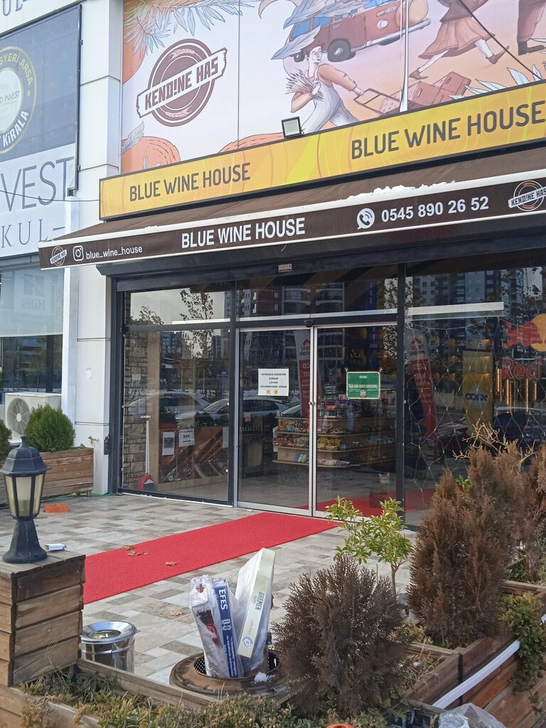 Alkollü içecekler Blue Wine House - Yeni Batı Tekel, Ankara, foto