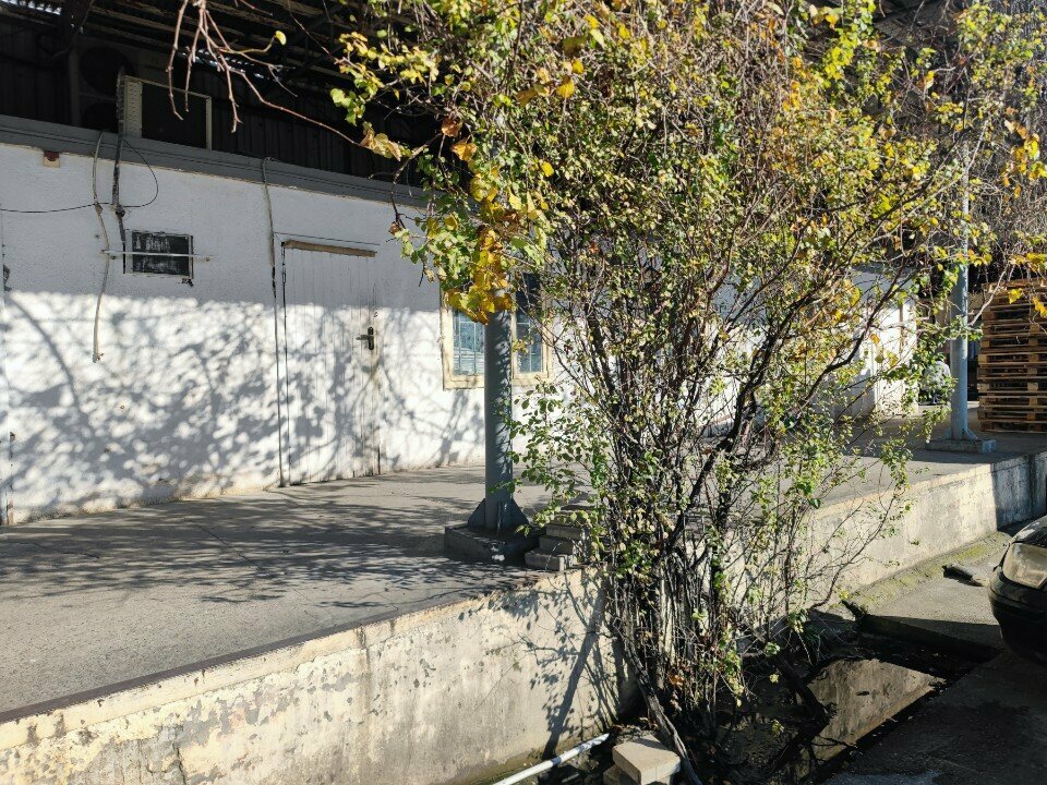 Danışmanlık hizmetleri STA-consulting, Soçi, foto