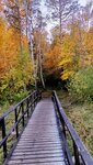 Spring, stream (Qostanaı oblysy, Meńdiqara aýdany), pınar, çay  Kostanay eyaletinden