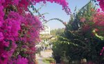 Mersi̇n Üni̇versitesi Eğitim Fakültesi (Mersin, Yenişehir, Çiftlikköy Mah., Mersin Üniversitesi Kampüs Alanı, 36/2), üniversiteler  Mersin'den