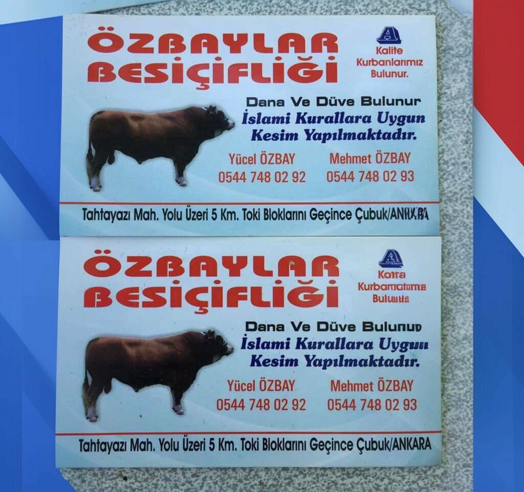 Hayvancılık Özbaylar Besi Çiftliği, Ankara, foto