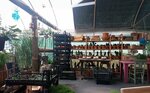 Eslem Garden (Yalova, Yalova Merkez, Kirazlı Köyü, Sanayi Mevkii), bahçecilik mağazaları  Yalova'dan