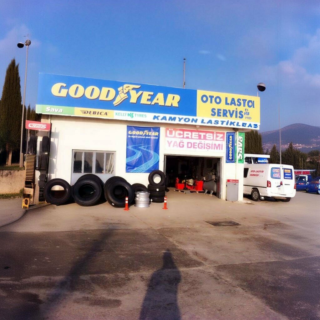 Jant ve lastikçiler Petlas Lastik, Gelibolu, foto