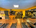 Muscle Performance (Manisa, Salihli, Sağlık Mah., 174. Sok., 3A), spor ve jimnastik salonları  Salihli'den