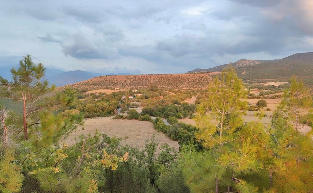 Muhtarlıklar Yenice Köy Muhtarlığı, Cide, foto