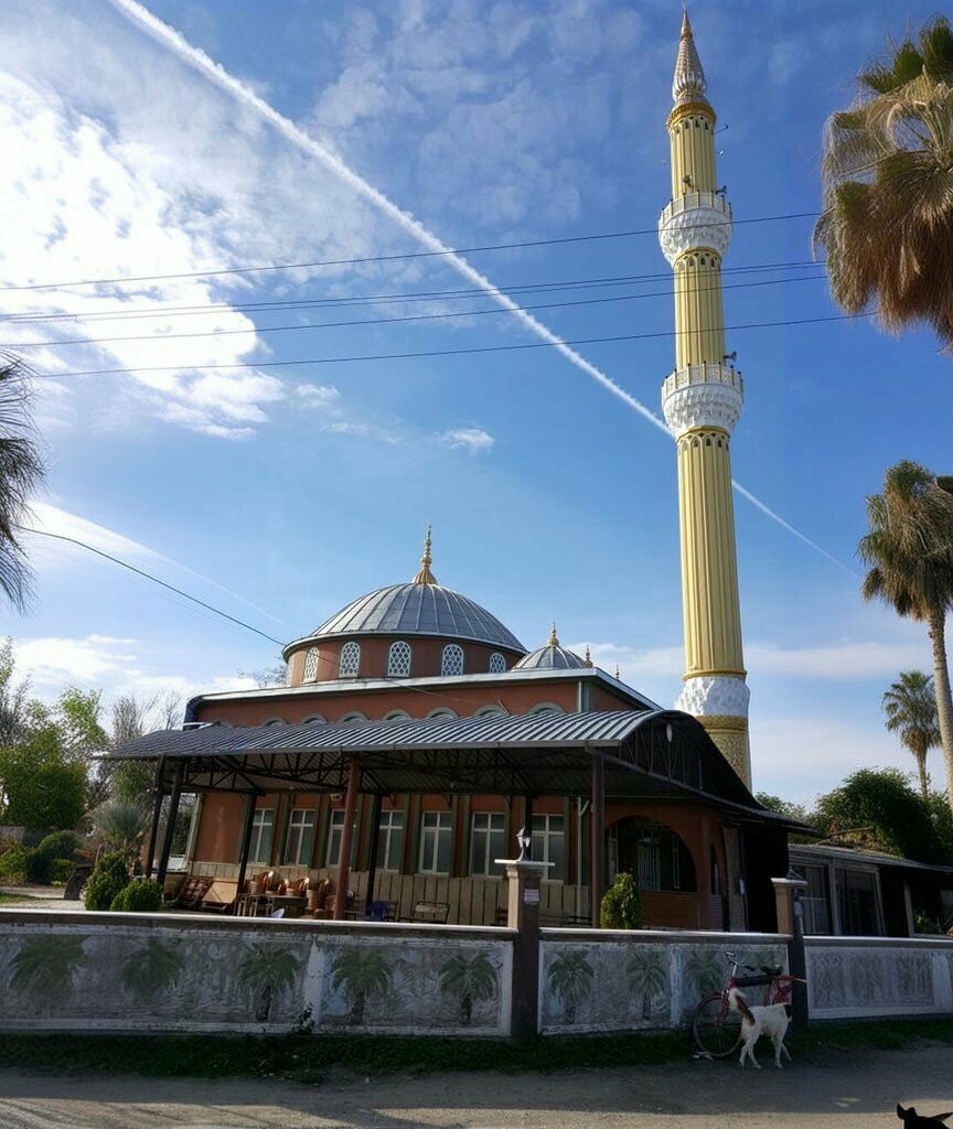 Muhtarlıklar Boyacalı Mahalle Muhtarlığı, Çarşamba, foto