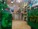 Грибное место (Moscow Region, Domodedovo City District, Lyamtsino Village), mantar yetiştirme ve satış  Moskova ve Moskovskaya oblastından