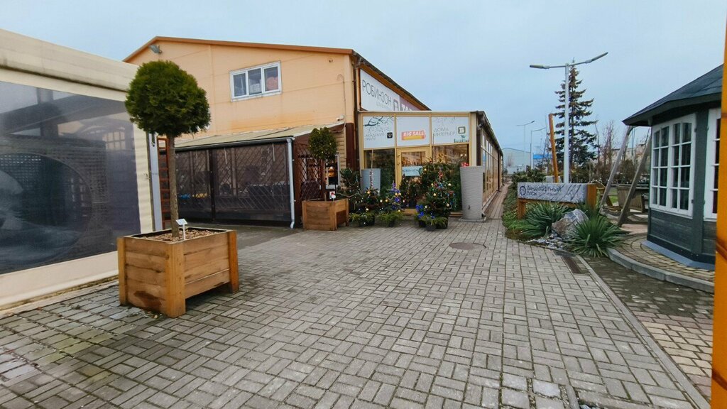 Mobilya mağazaları Робинзон, садовый центр, Kaliningradskaya oblastı, foto