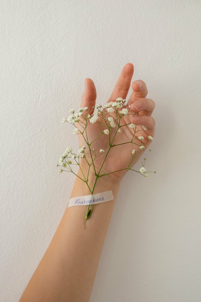 Pazar araştırma firmaları Nine, Krasnoyarski krayı, foto