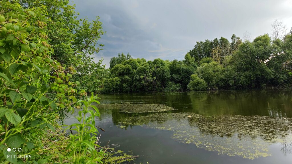 Ortodoks kiliseleri Церковь Михаила Архангела, Penzenskaya oblastı, foto
