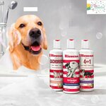 Petshop Croquetitas (Departamento de La Libertad, Provincia de Trujillo, Distrito de Trujillo, Calle 12A), petshop  Trujillo'dan