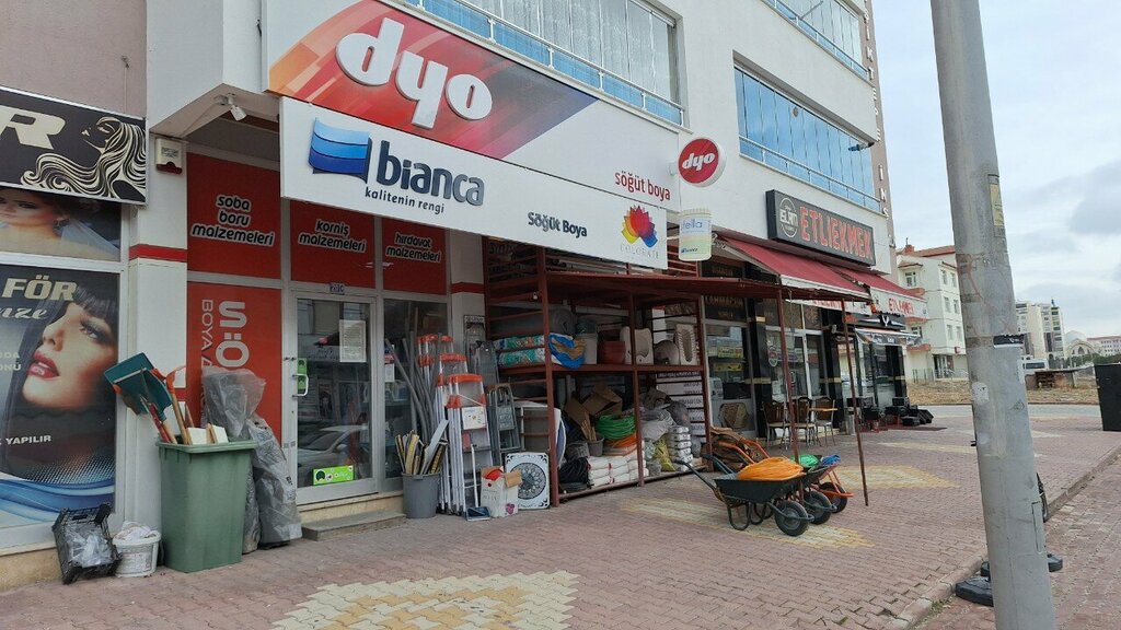 Boya ve cila malzemeleri üretim ve satış yerleri Söğüt Boya, Konya, foto