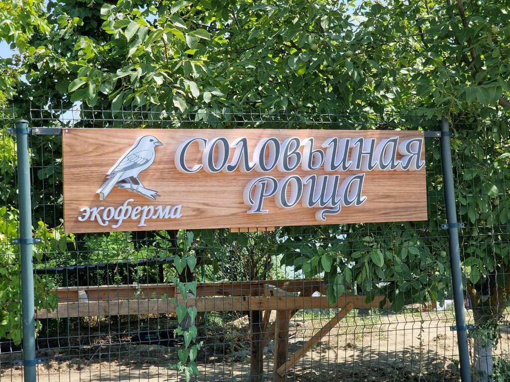 Resort oteller, tesisler Соловьиная роща, Krasnodarski krayı, foto