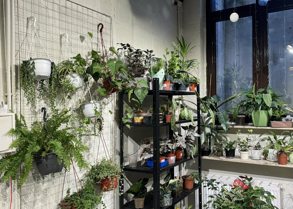 Peyzaj tasarımı Ozeleni, Yaroslavl, foto