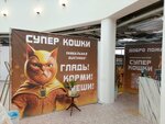 Супер кошки (No:30, 7th Microdistrict), hayvanat bahçesi merkezi  Tobolsk'tan