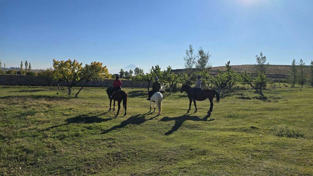 At ve binicilik kulüpleri Samirafram, Kotayk, foto