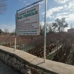 Fidancı Hasan Hilal Fidancılık (Ayanbey Mah., Hacı Şaban Sok.,No.1, Meram, Konya), fidan yetiştiriciliği  Konya'dan