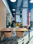 Stanford Education (10, 4B Street, Al Hudaiba, Bur Dubai, Dubai), eğitim merkezleri  Dubai'den