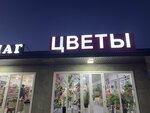 Цветы и подарки (ulitsa Kadyrova No:1, stanitsa Chervlyonnaya), çiçekçiler  Çeçen Cumhuriyeti'nden