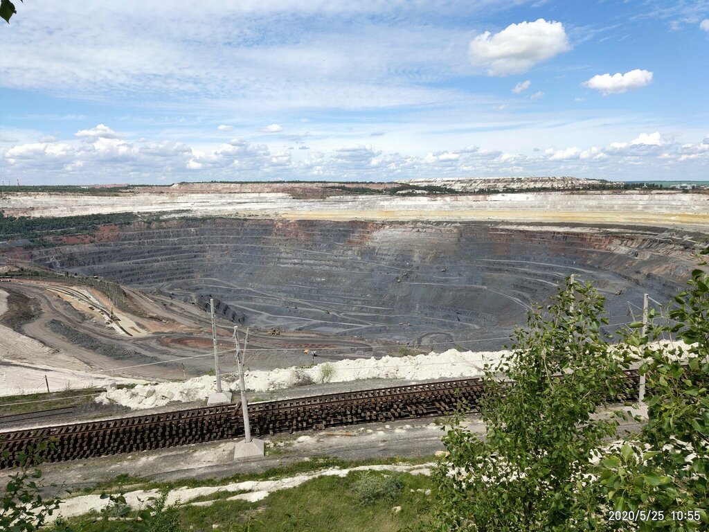 Orman Грачёв лес, Stariy Oskol, foto