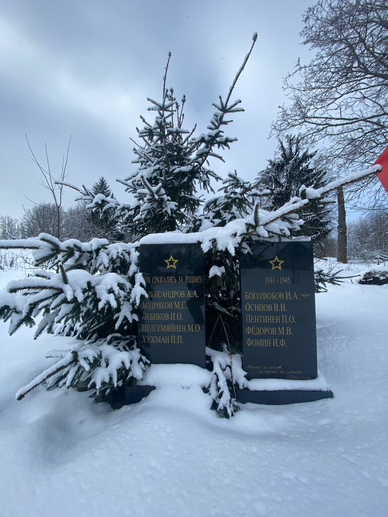 Anıt, heykel Они сражались за Родину, Saint‑Petersburg ve Leningradskaya oblastı, foto