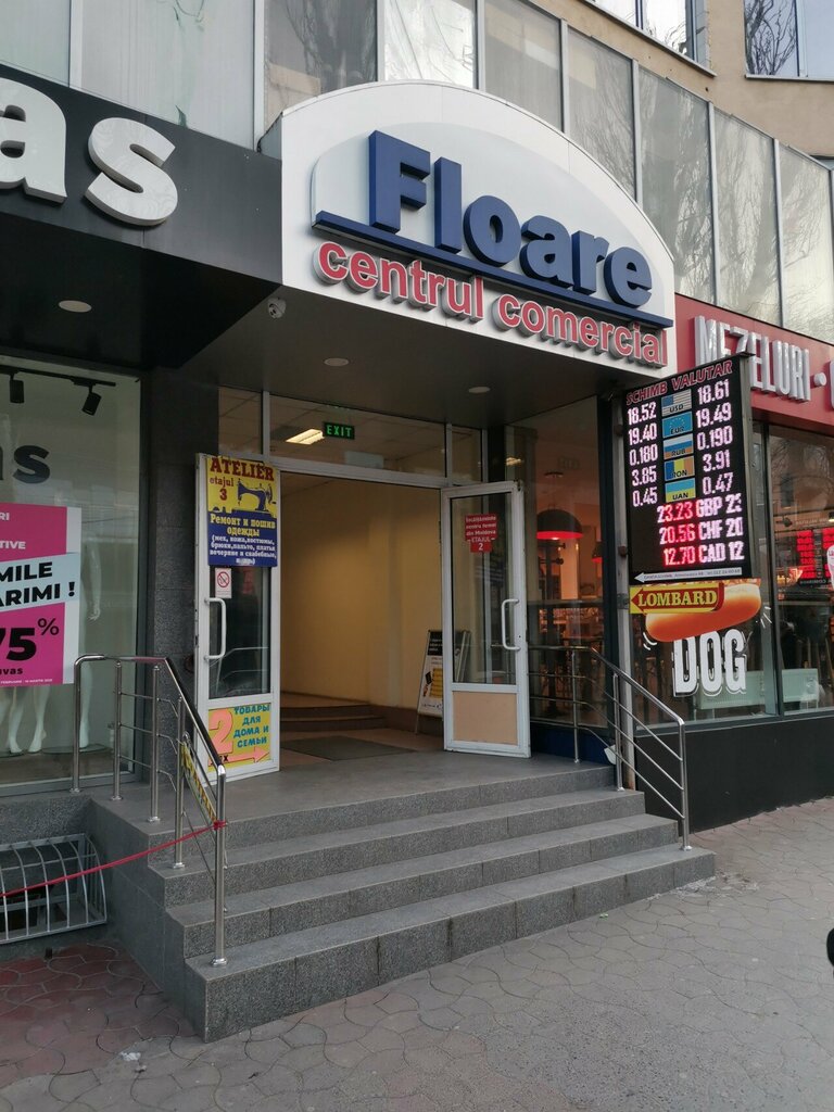 Göçmen büroları RoSolutions Acte Romanesti, Kişinev, foto