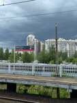Новая Охта (Saint Petersburg, Kalininskiy District, munitsipalny okrug № 21), tren istasyonu  Saint‑Petersburg'dan
