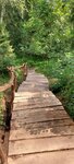 Spring, stream (Bresckaja voblasć, Baranavicki District, Liasnianski Rural Council, vioska Tartaki), pınar, çay  Brestskaya oblastından