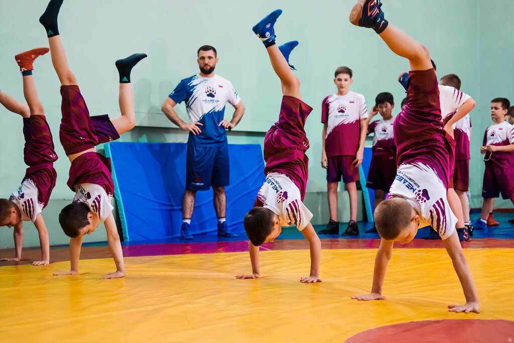 Spor okulları Медведь борьба, Krasnoyarsk, foto