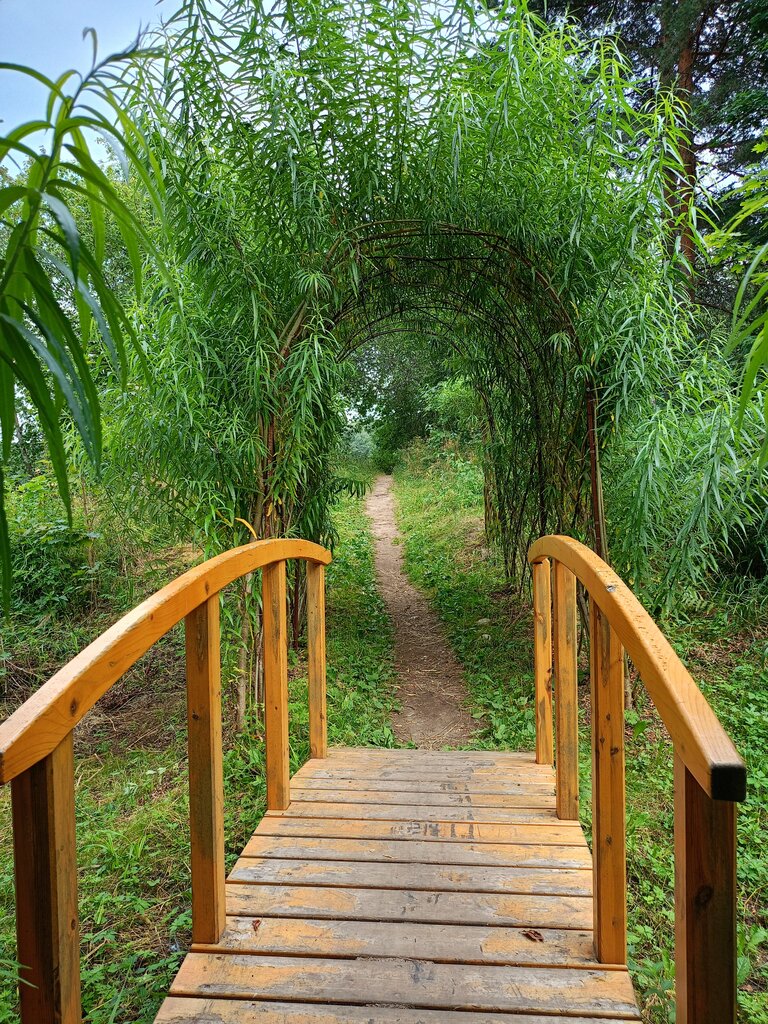 Piknik alanı Место для пикника, Pestovo, foto