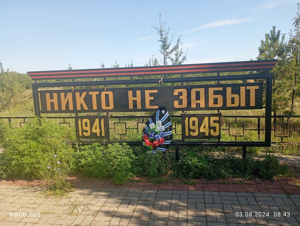 Anıt, heykel Герой Советского Союза старший лейтенант П.А. Козлов, Voronejskaya oblastı, foto