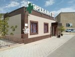 Korshi (No:5/1, 26-shy shaǵyn aýdan), eczaneler  Aktav'dan