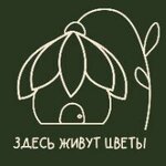 Zdes' zhivut cvety (ulitsa Arkhitektora Rekhmukova No:5), çiçekçiler  Ufa'dan