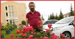 Karaman Ağız Ve Diş Sağlığı Merkezi (Pirireis Mah., Atatürk Cad., No:30, Merkez, Karaman), diş sağlığı poliklinikleri  Karaman'dan