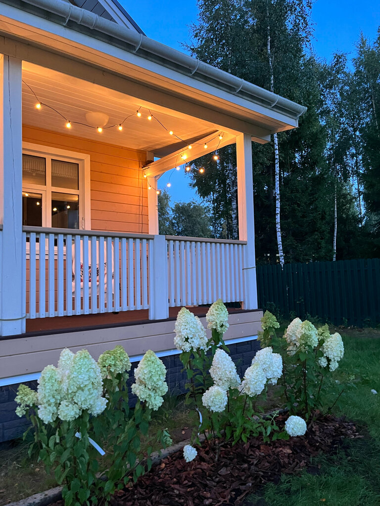 Fidan yetiştiriciliği Растения для сада, Saint‑Petersburg ve Leningradskaya oblastı, foto