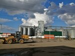Sinegor-Grain (19-y Vostochny Proyezd No:7), tahıl firmaları  Kökşetav'dan