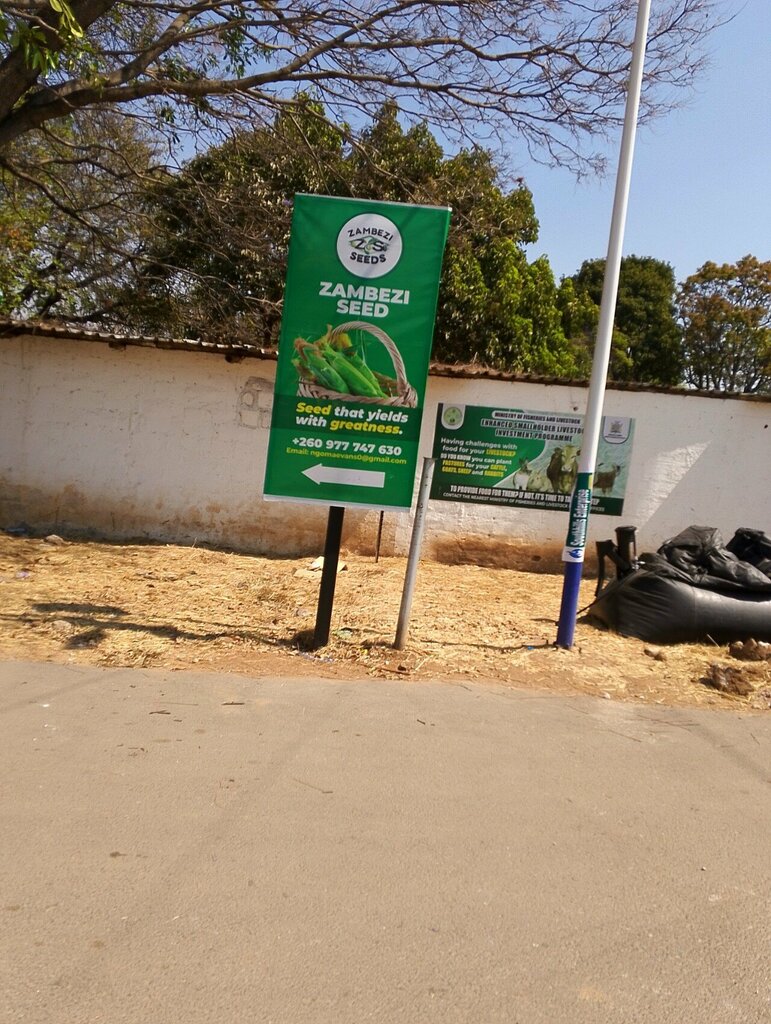 Sivil toplum kuruluşları Caritas Czech Republic in Zambia, Lusaka, foto